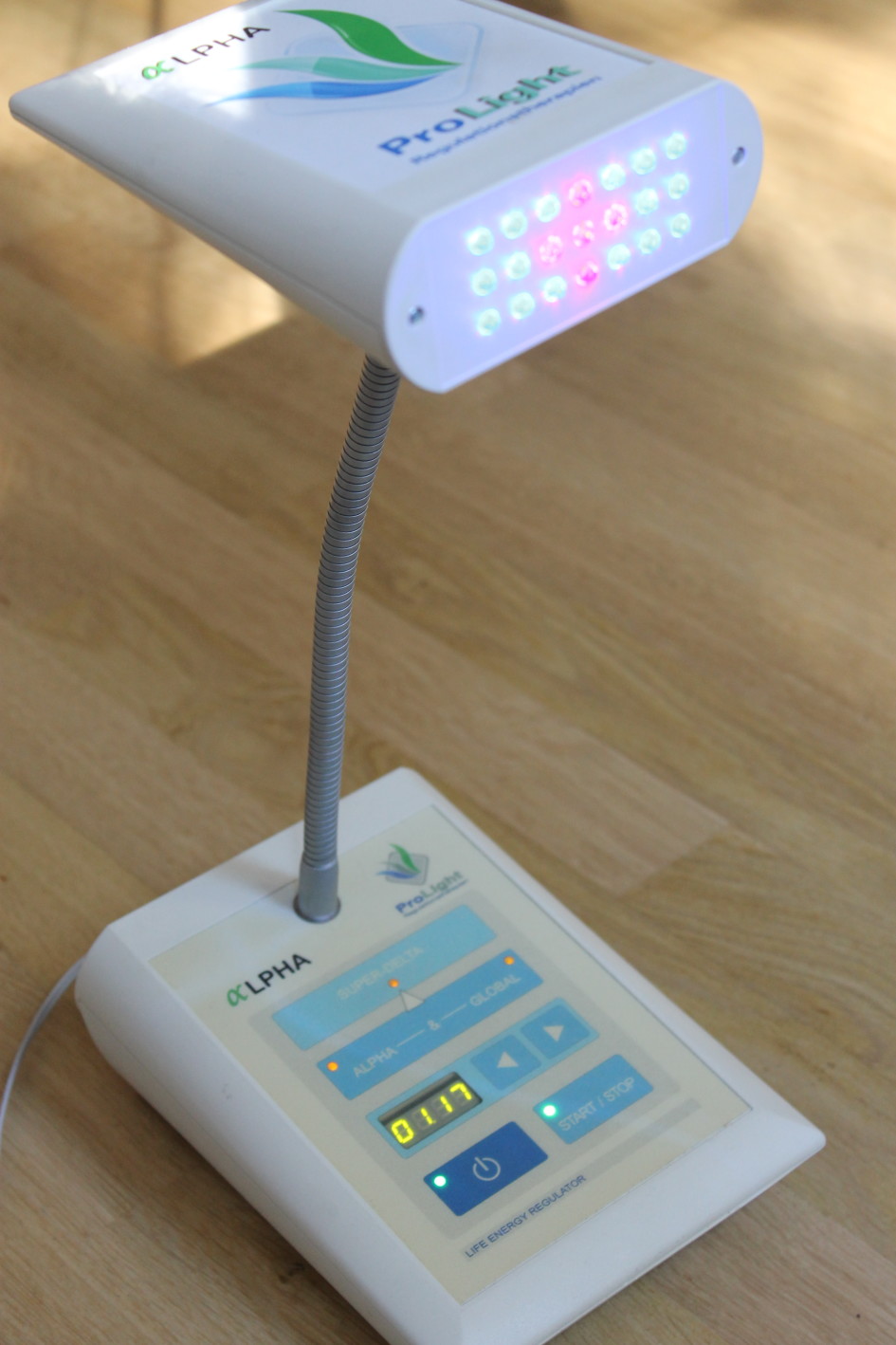 Therapien und Angebote